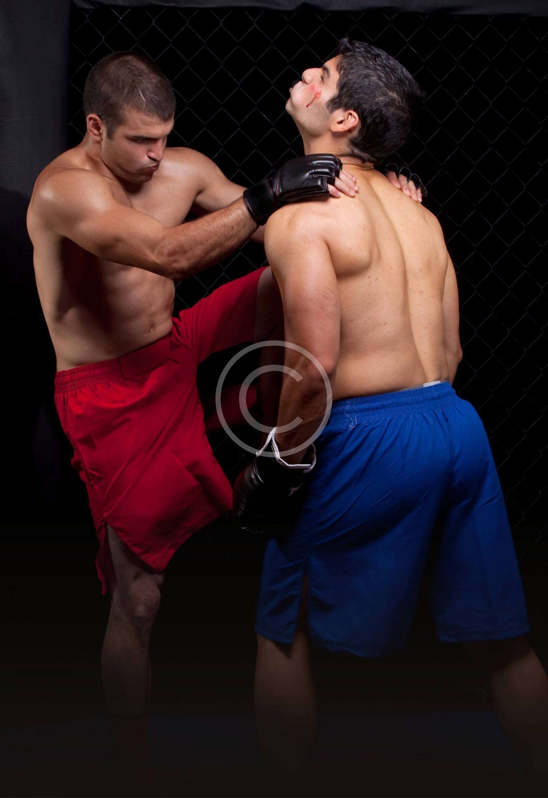 MMA – Karate Wien – Nippon Karate Club